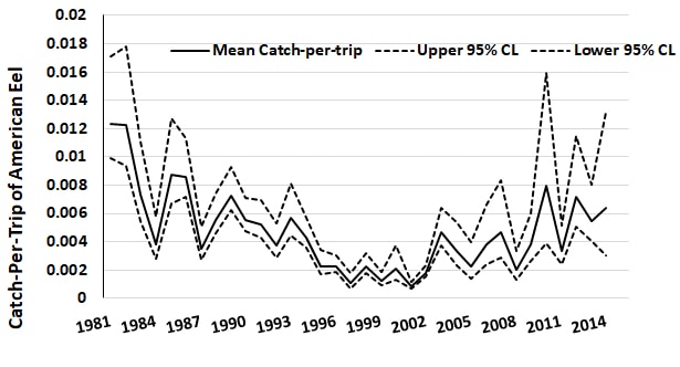 american eel conservation status
