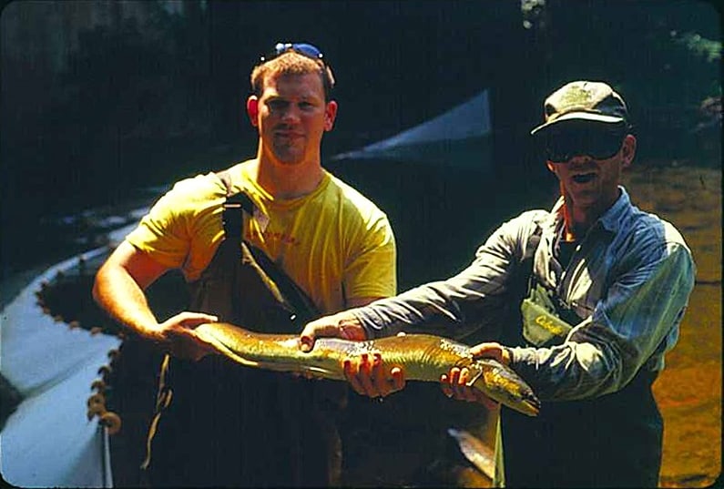 american eel conservation status