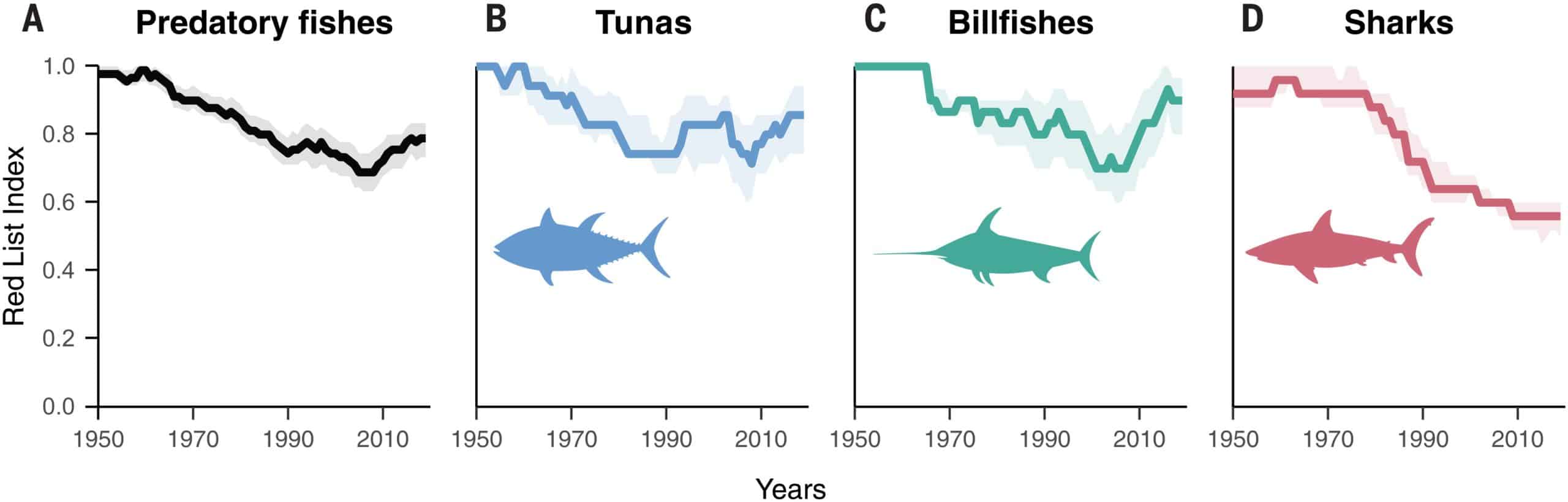 predatory fish list