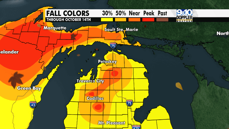 Color Change In Michigan