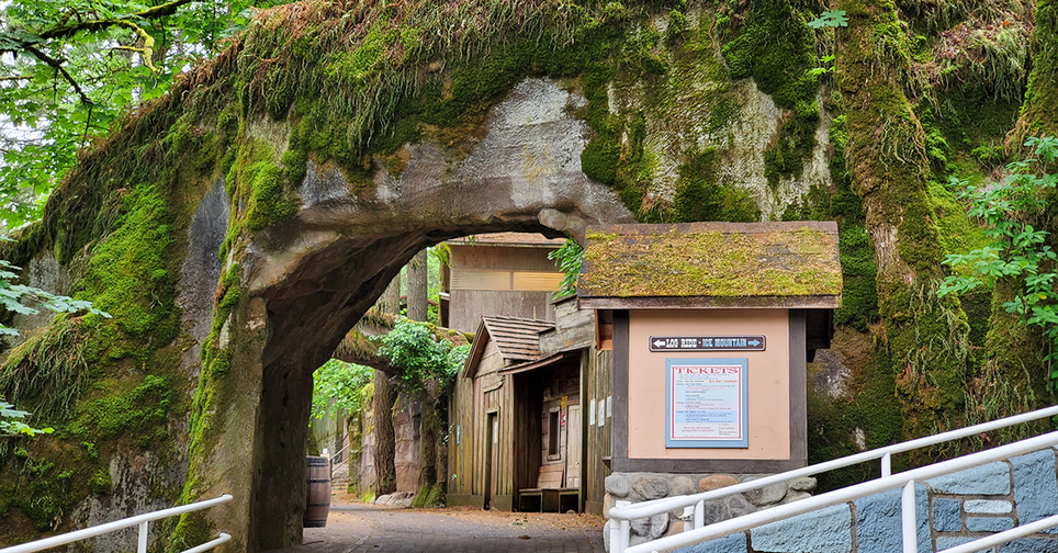 disney enchanted forest documentary