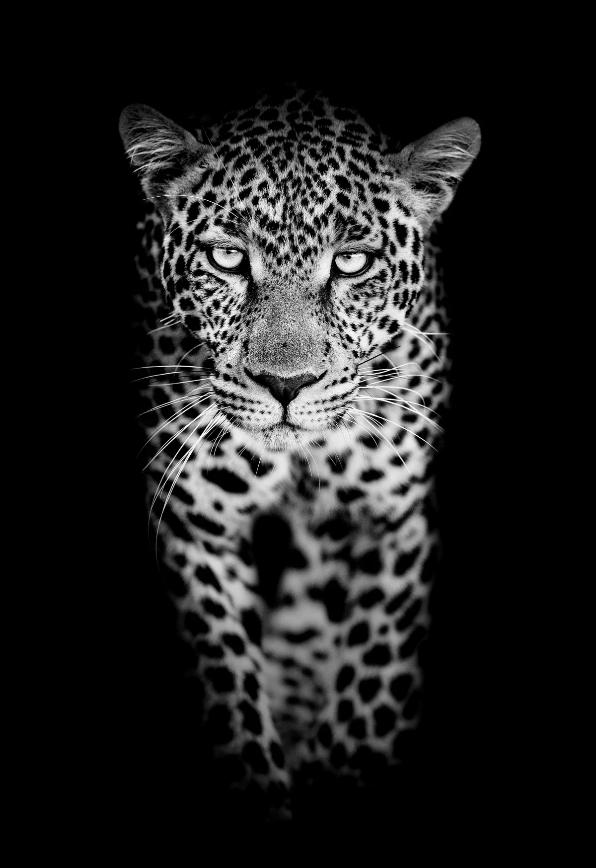 Timothy Dunn | The Independent Photographer