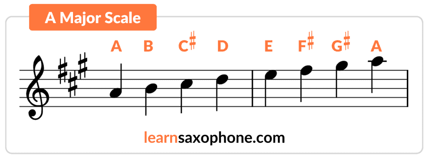 F Concert Scale Bari Sax Stand Wall Stand For Baritone Saxophone SIR