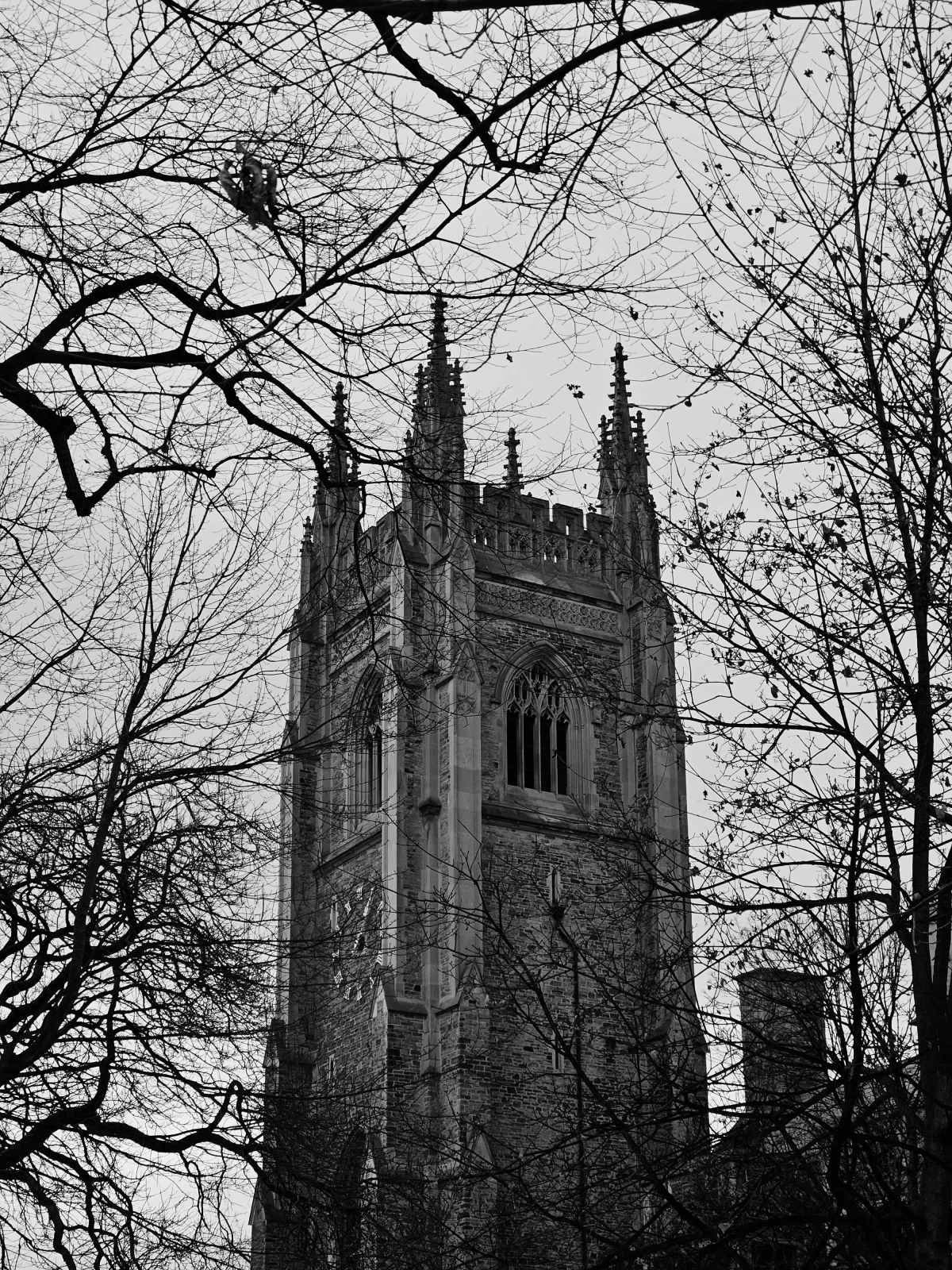 Myla Ramos | The Independent Photographer