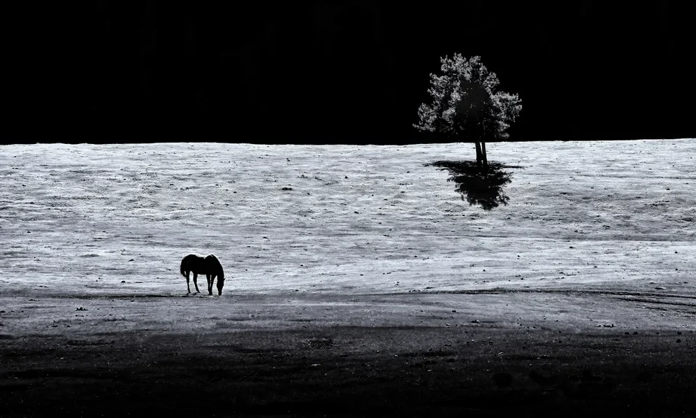 Larry Bean | The Independent Photographer