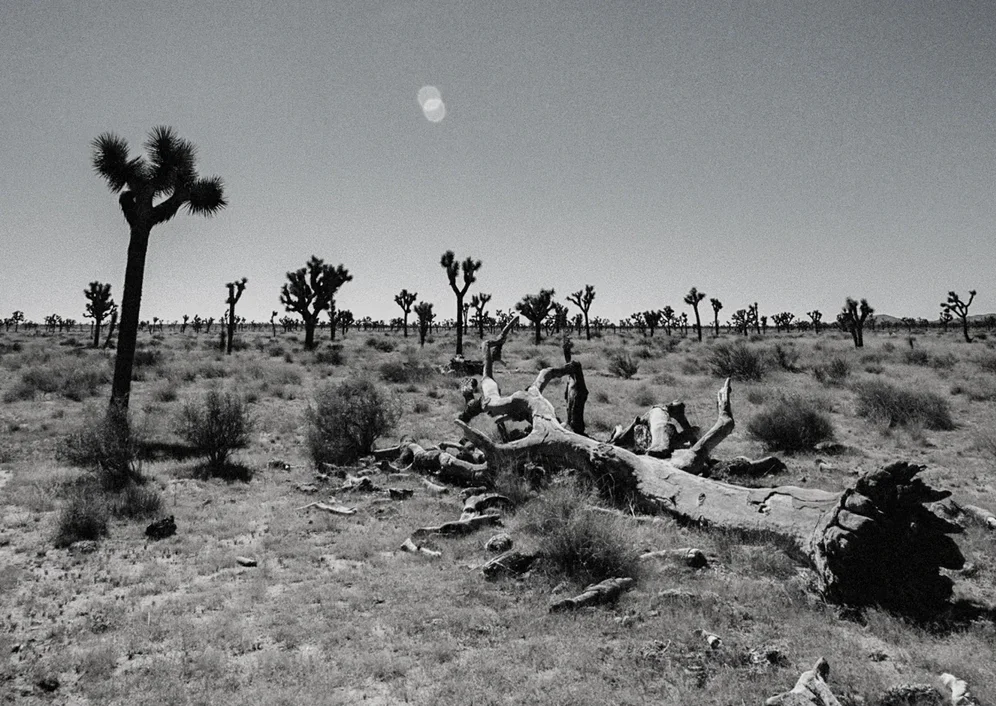 Grace Sander-Effron | The Independent Photographer