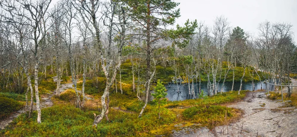 Jack Menasco | The Independent Photographer