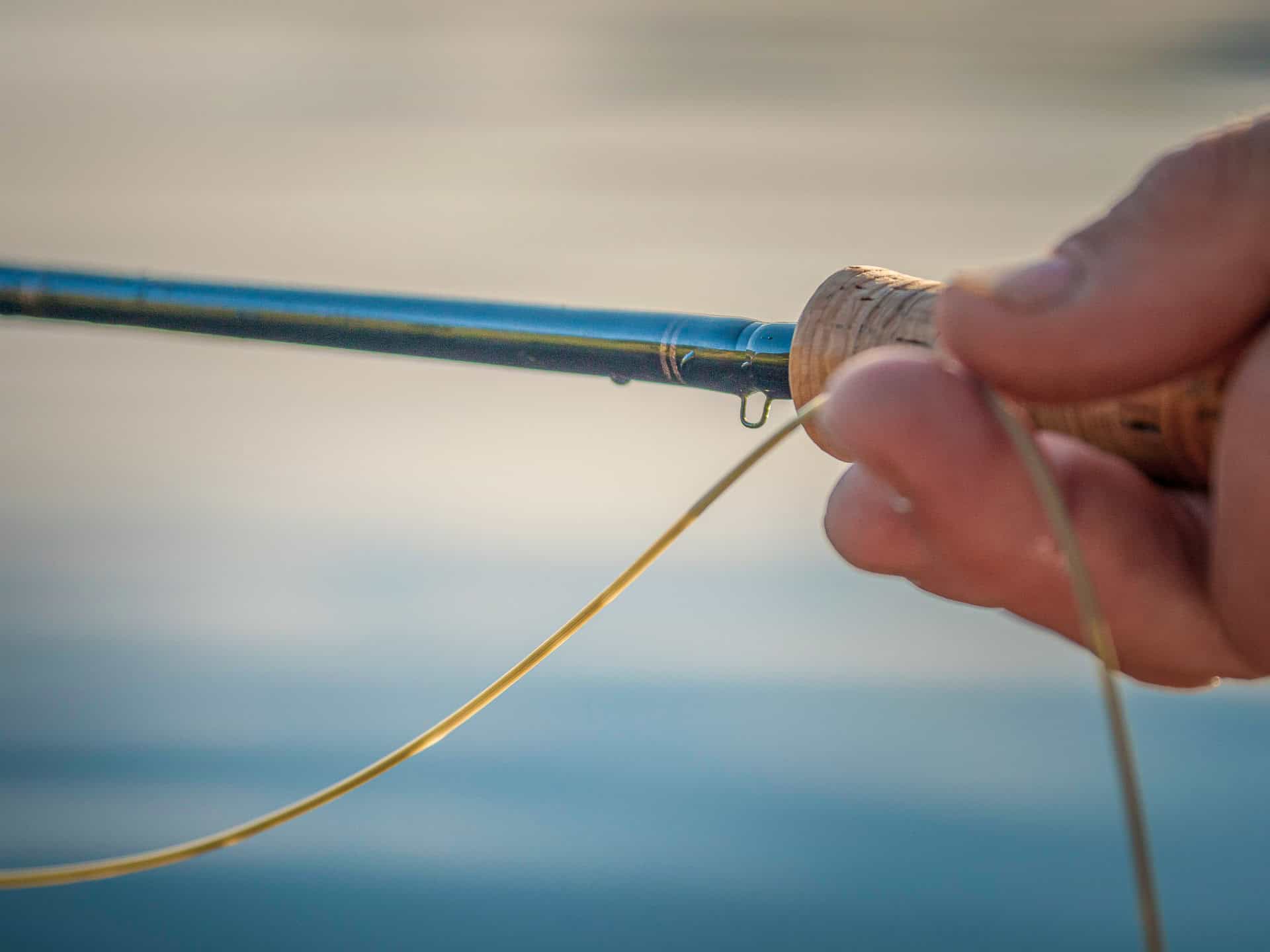 Flugfiske – guide till fiskeflugor och flugfiskeutrustning - Allt du ...