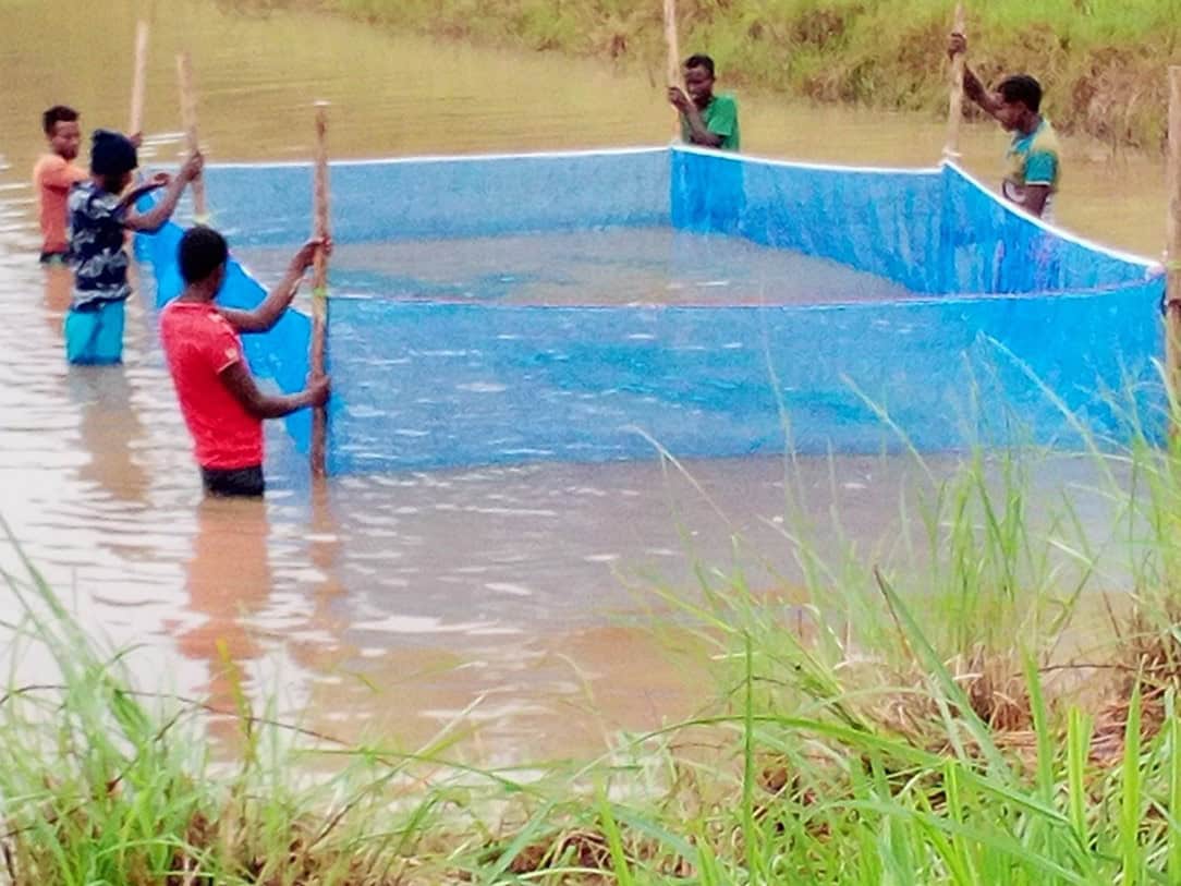 Promoting Sustainable Fish Farming Through Hapa Technology At Koga ...