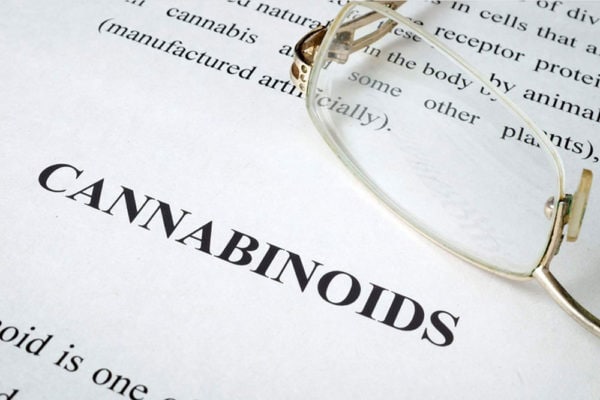 Understanding Cannabinoids: Your Comprehensive Guide | TribeTokes