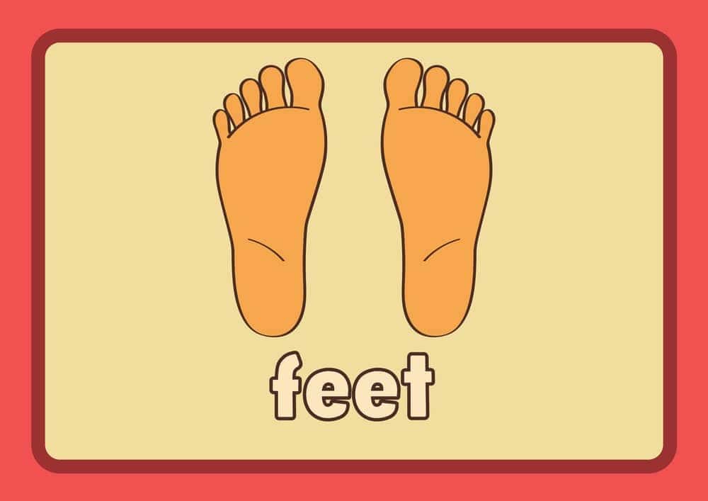 +10 Expresiones Inglesas con la Palabra “FOOT” » 10EnIngles