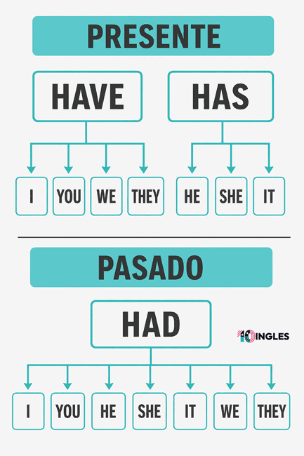 Diferencia entre have, has y had: La Guía Definitiva