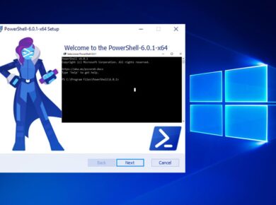 Diferencias Entre /bin vs. /usr/bin vs. /usr/local/bin » Adictec