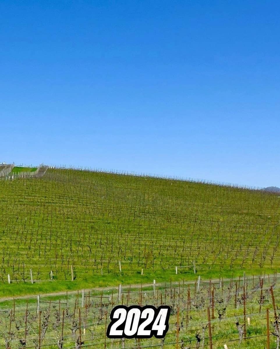 El Campo Windows XP: ¿Qué Pasó con el Paisaje? » Adictec