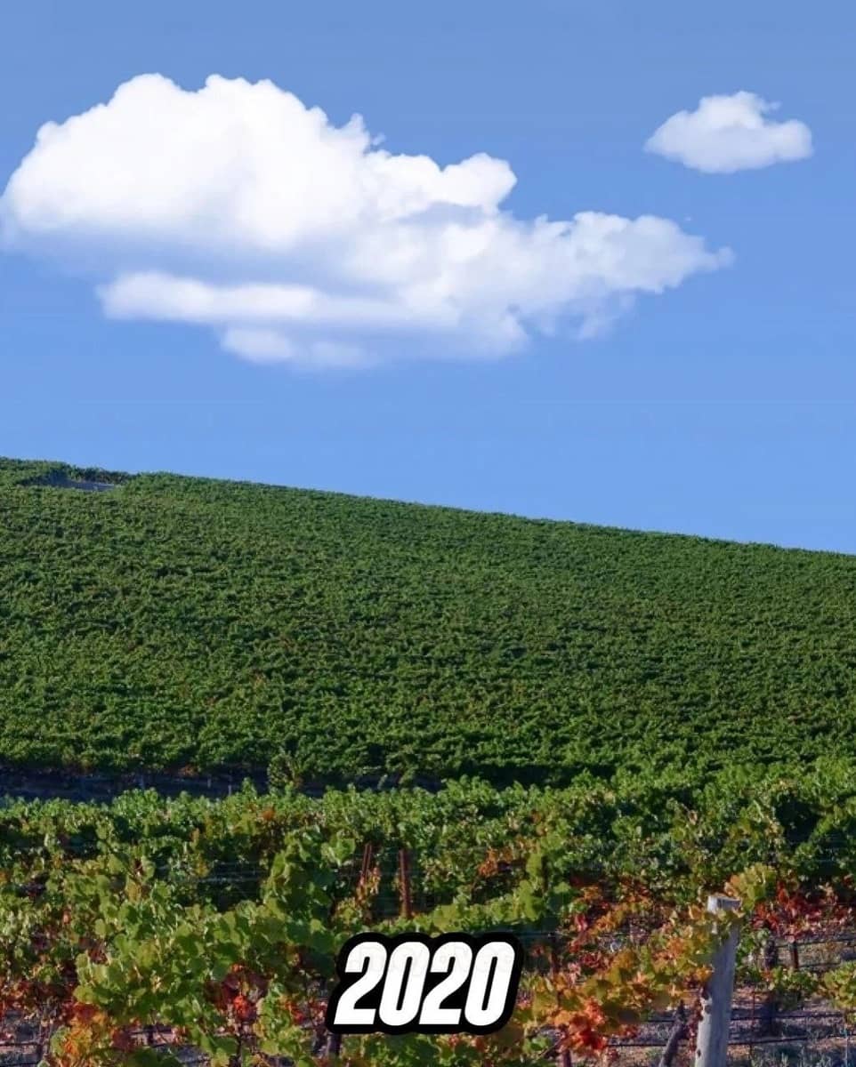 El Campo Windows XP: ¿Qué Pasó con el Paisaje? » Adictec
