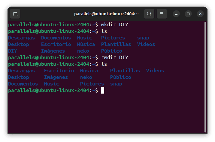 Domina los Comandos Básicos Linux: Guía para Principiantes