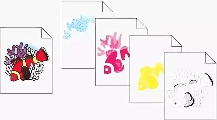 What Is The Difference Between Four-color And Spot-color Printing ...
