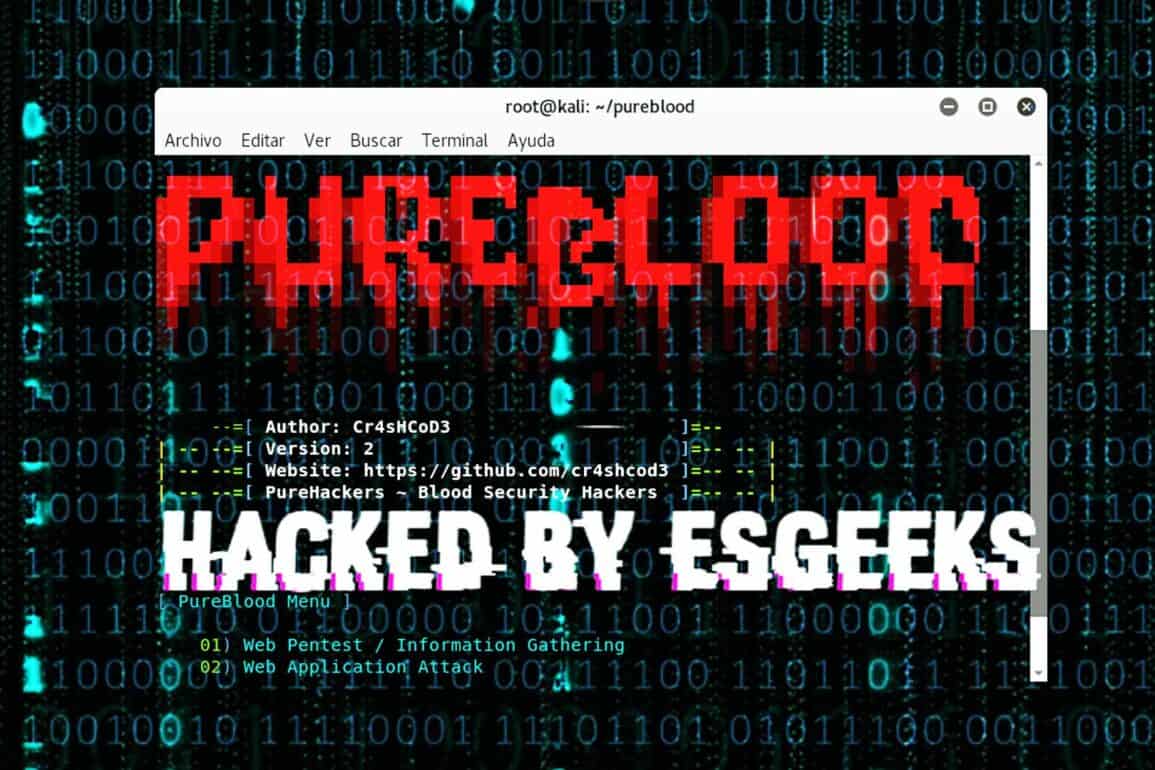 Cómo Convertirse en un Hacker: Guía para Principiantes » EsGeeks