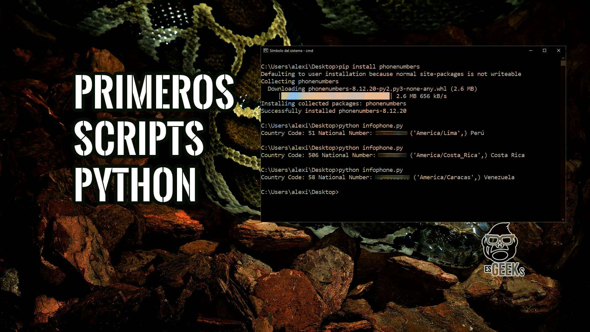 Crea tus Primeros Scripts con Python: Ejemplos » EsGeeks