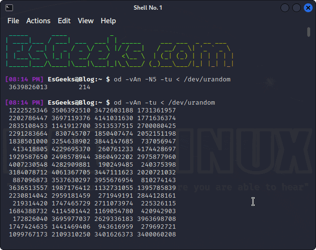 ¿Qué son /dev/random y /dev/urandom en Linux? Ejemplos