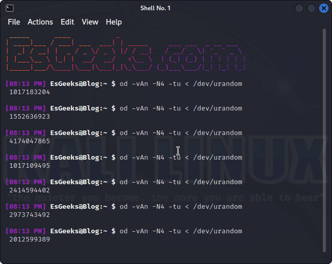 ¿Qué son /dev/random y /dev/urandom en Linux? Ejemplos