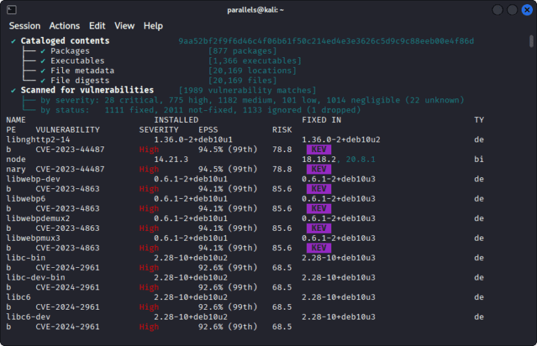 Qué es CVE: Guía Completa de Gestión de Vulnerabilidades