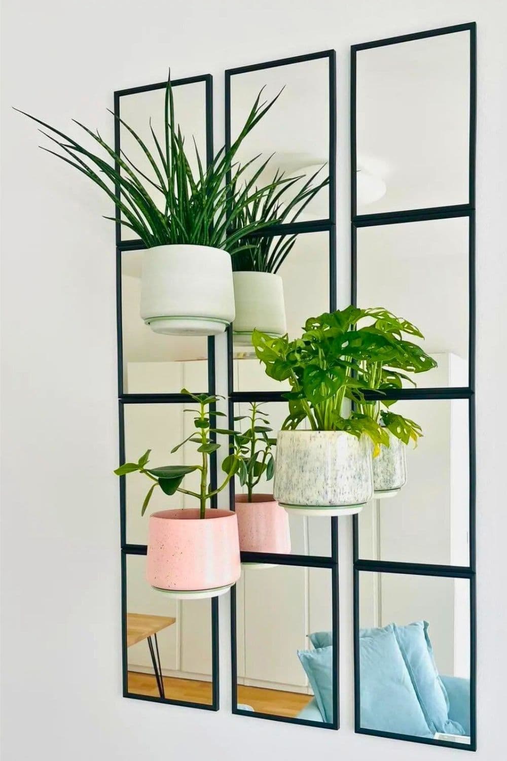 Transform Your Space: Creative Wall Plant Decor Ideas | Houseplant Alley
