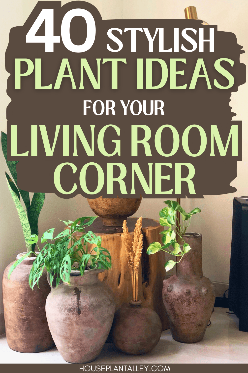 40 Best Living Room Corner Plants | Houseplant Alley