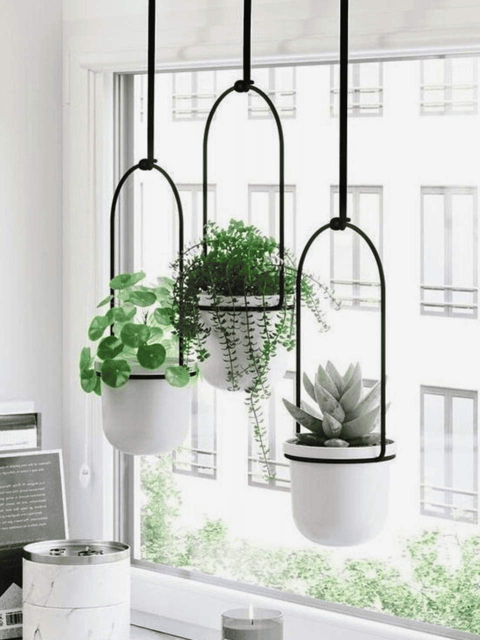 How To Transform Your Window Into a Lush Indoor Garden | Houseplant Alley