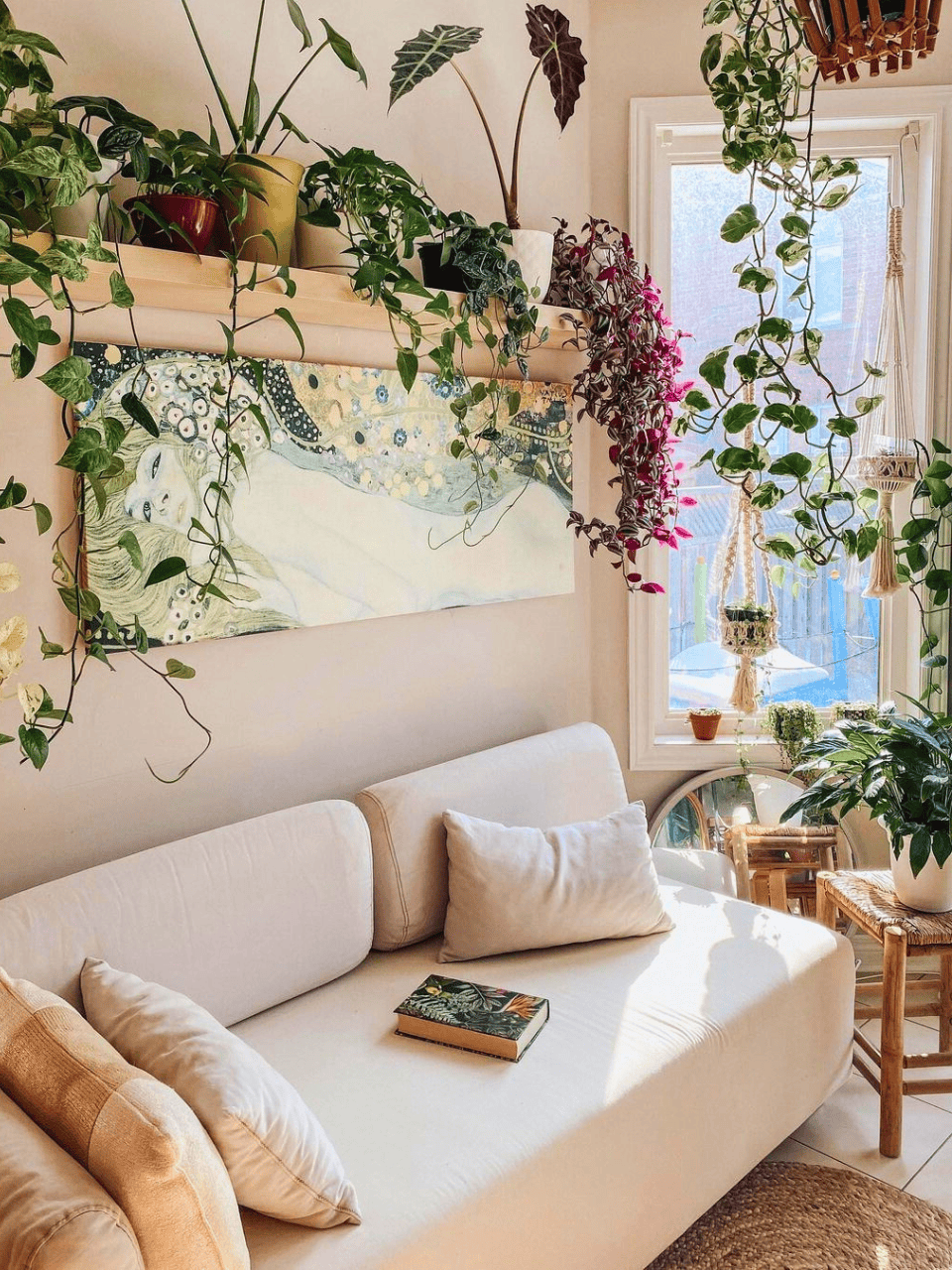 How To Transform Your Window Into a Lush Indoor Garden | Houseplant Alley