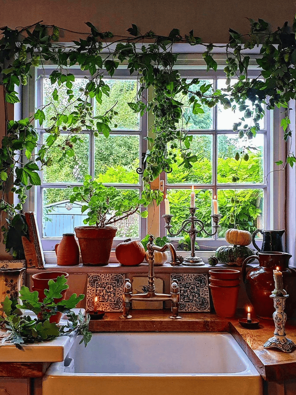 How To Transform Your Window Into a Lush Indoor Garden | Houseplant Alley