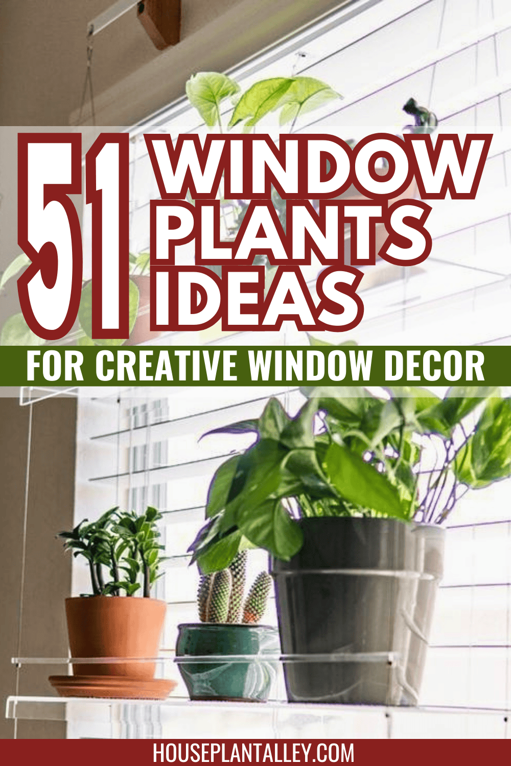 How To Transform Your Window Into a Lush Indoor Garden | Houseplant Alley