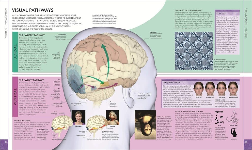 The Human Brain Book: An Illustrated Guide to its Structure, Function ...