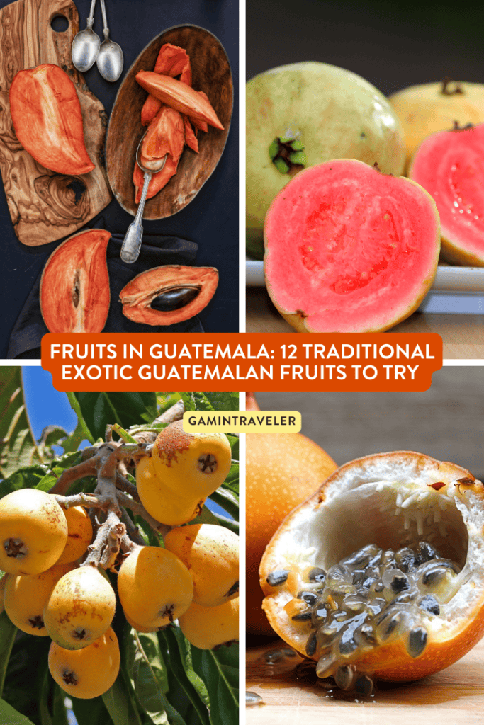 Fruits in Guatemala - 12 Exotic Guatemalan Fruits You Should Try