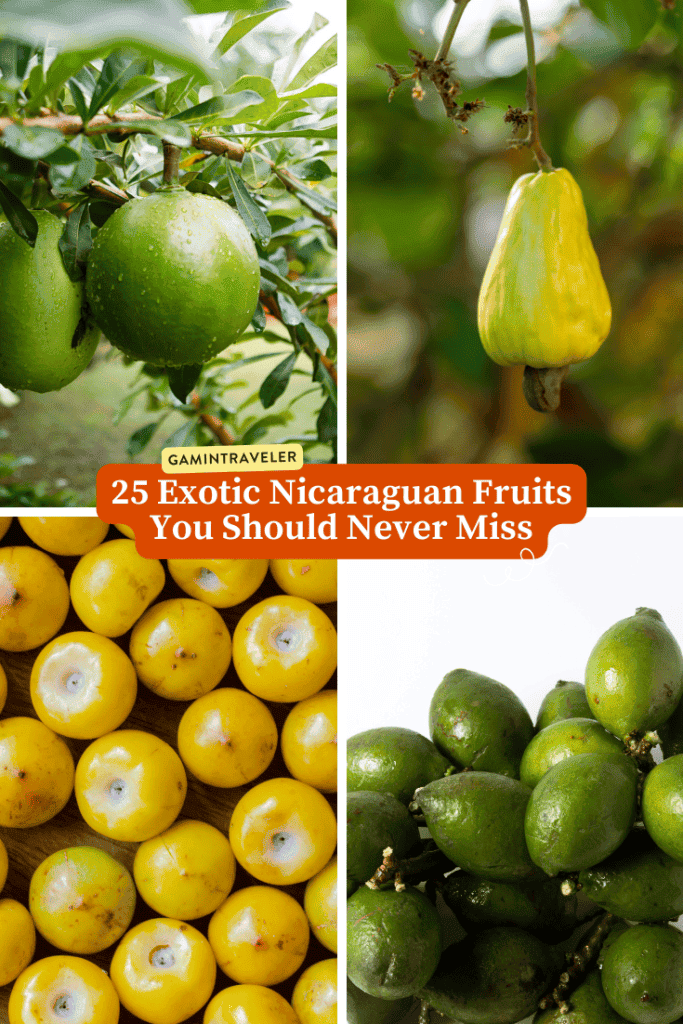 Nicaragua Fruits - 25 Most Exotic Fruits to Not Miss i