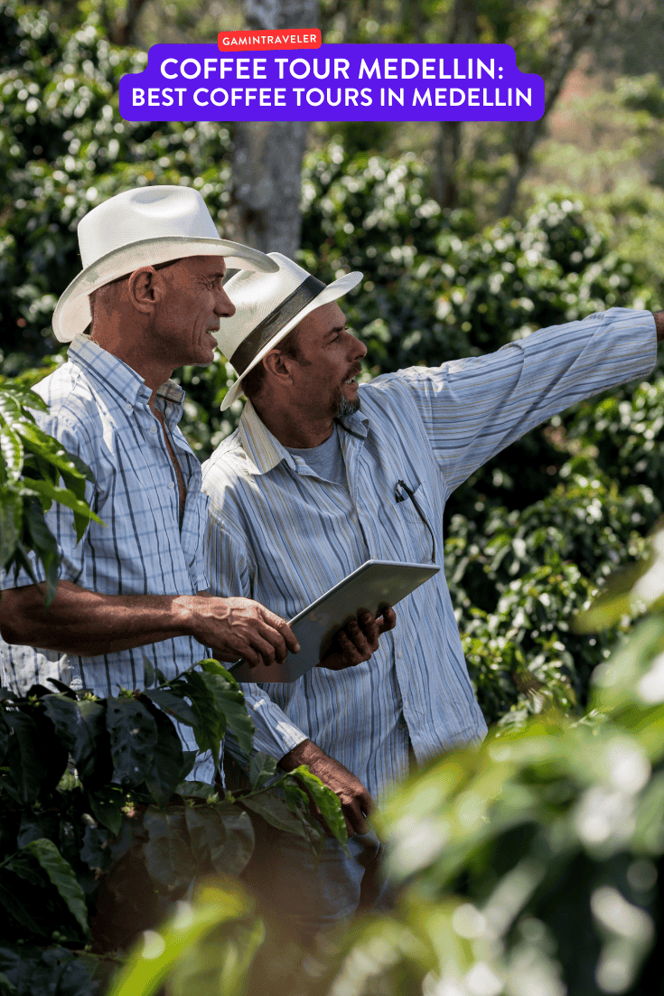 Coffee Tour Medellin: Best Coffee Tours in Medellin