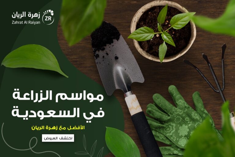 The best planting seasons in Saudi Arabia with Zahrat Al Rayyan ...