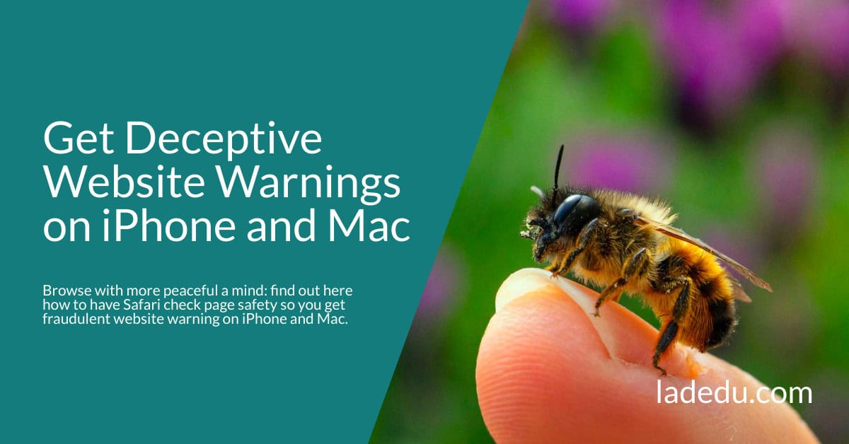 How to Get Deceptive Website Warning in Safari (iPhone/Mac) - La De Du