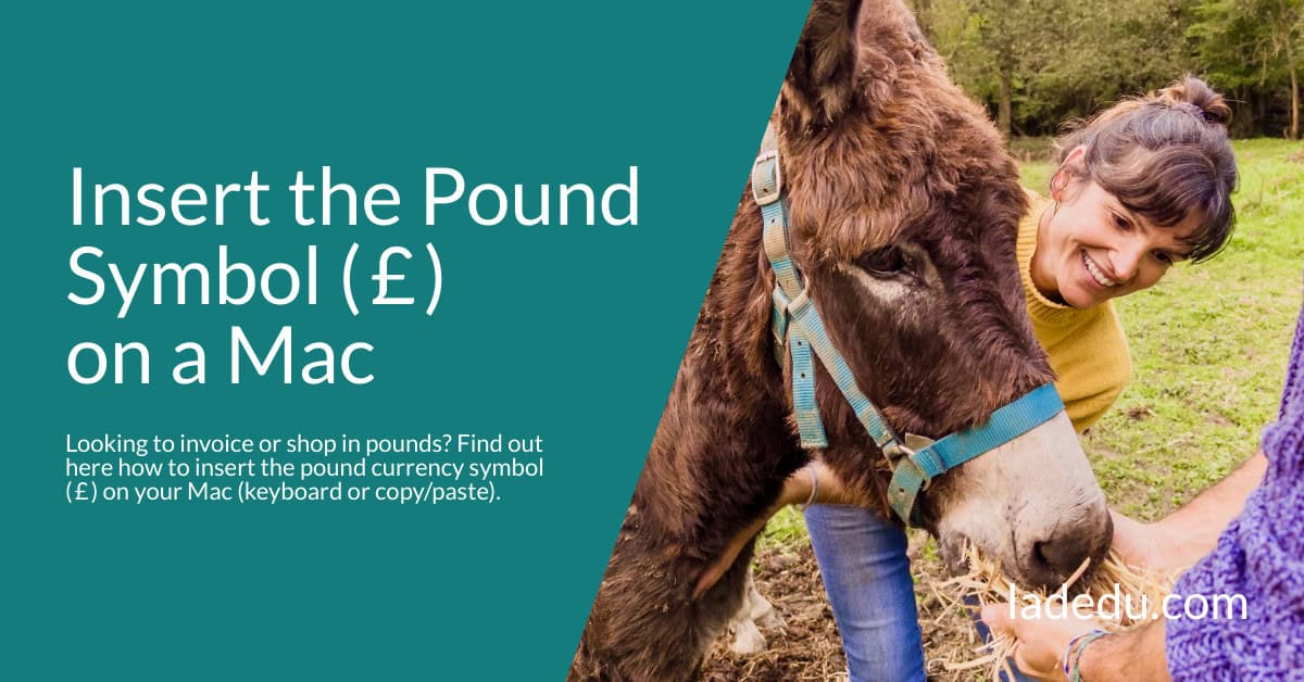 How to Insert the Pound Currency Symbol £ on a Mac - La De Du