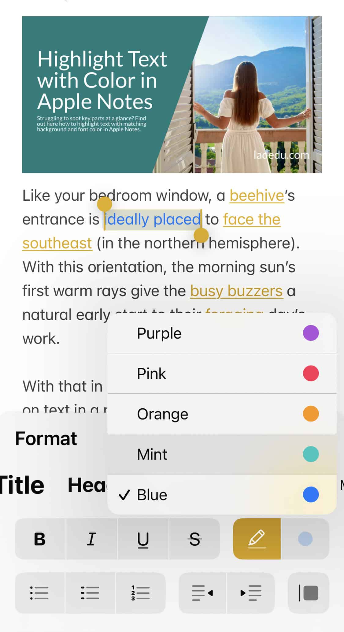 How to Highlight Text with Color in Apple Notes - La De Du