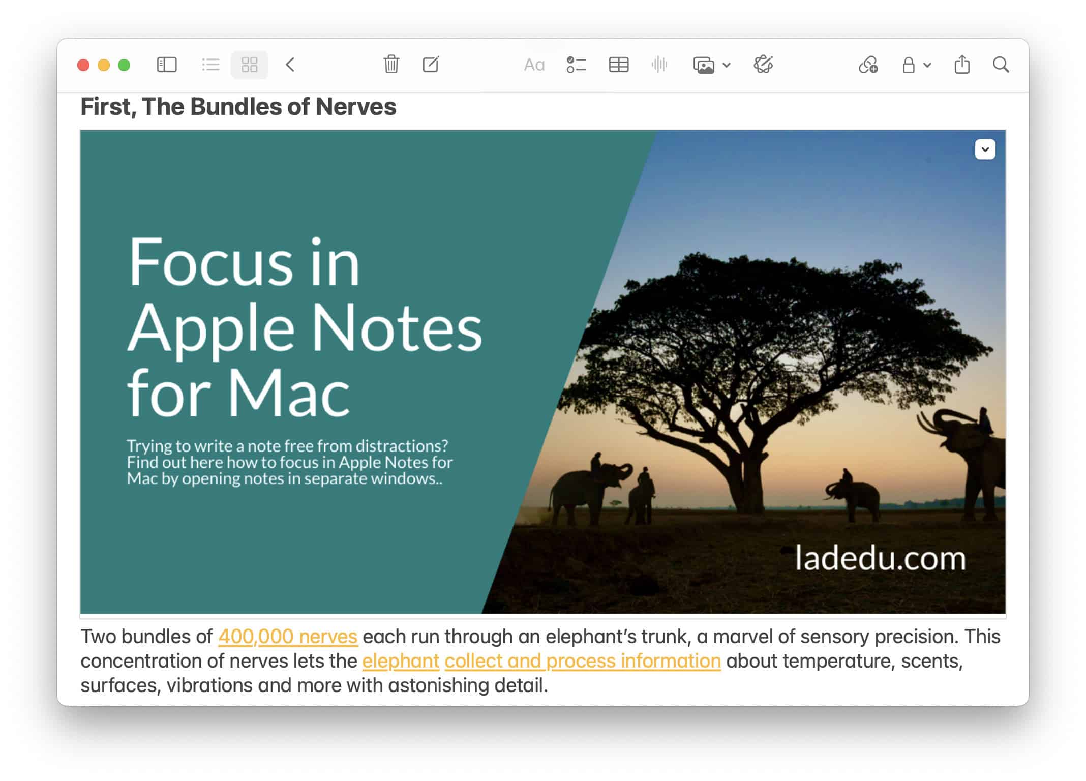 How to Focus in Apple Notes for Mac - La De Du