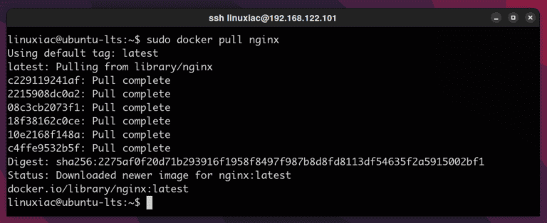 Ho to Run Nginx in a Docker Container: A Step by Step Guide