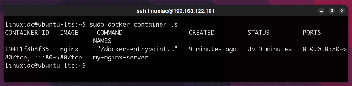 Ho to Run Nginx in a Docker Container: A Step by Step Guide