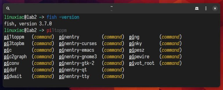 Top 5 Linux Shells You Should Know About