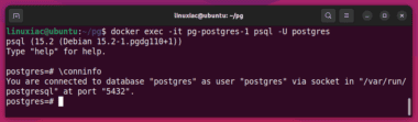 How to Run PostgreSQL with Docker: A Step-by-Step Guide