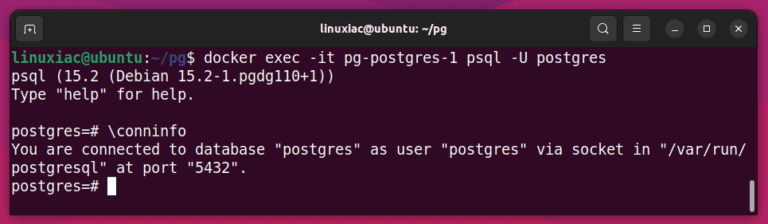How to Run PostgreSQL with Docker: A Step-by-Step Guide