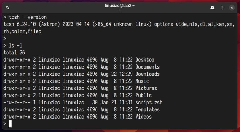 Top 5 Linux Shells You Should Know About