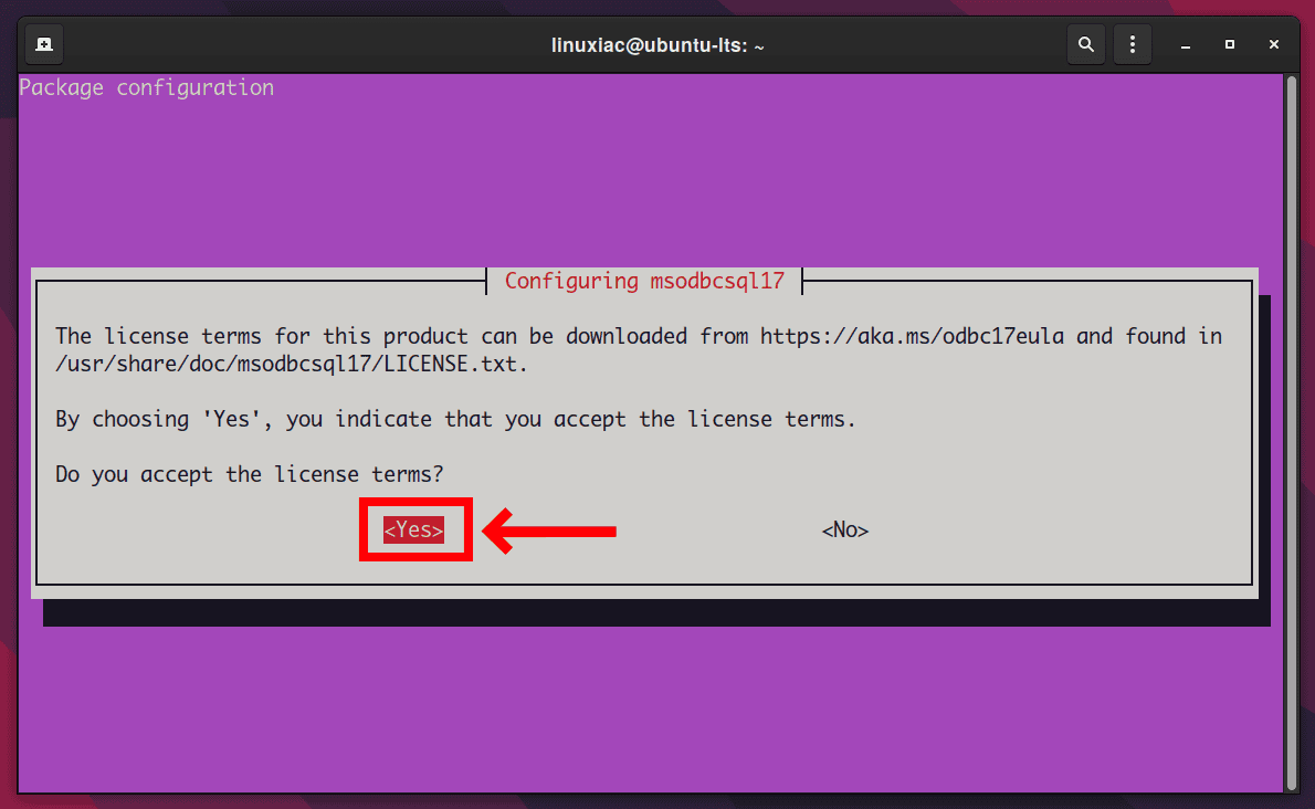 How to Install SQL Server and SQL Server CLI Tools on Ubuntu