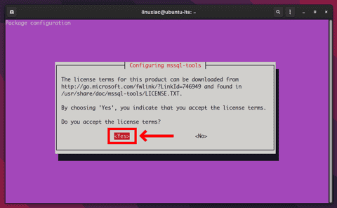 How to Install SQL Server and SQL Server CLI Tools on Ubuntu