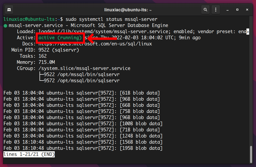 How to Install SQL Server and SQL Server CLI Tools on Ubuntu